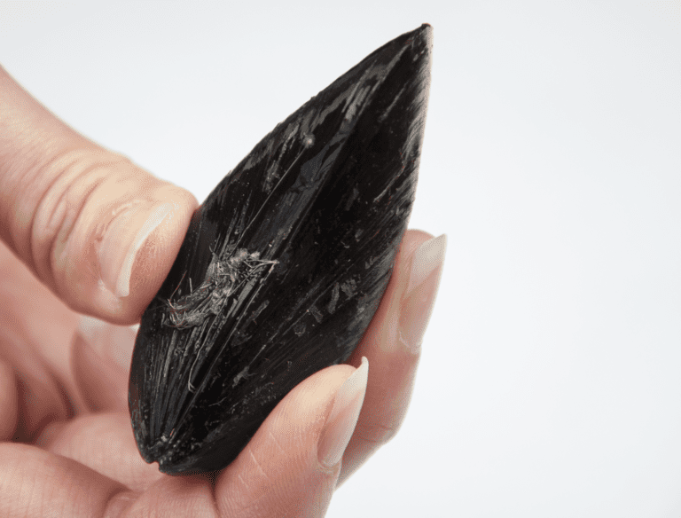 How to clean and debeard mussels in 3 easy steps