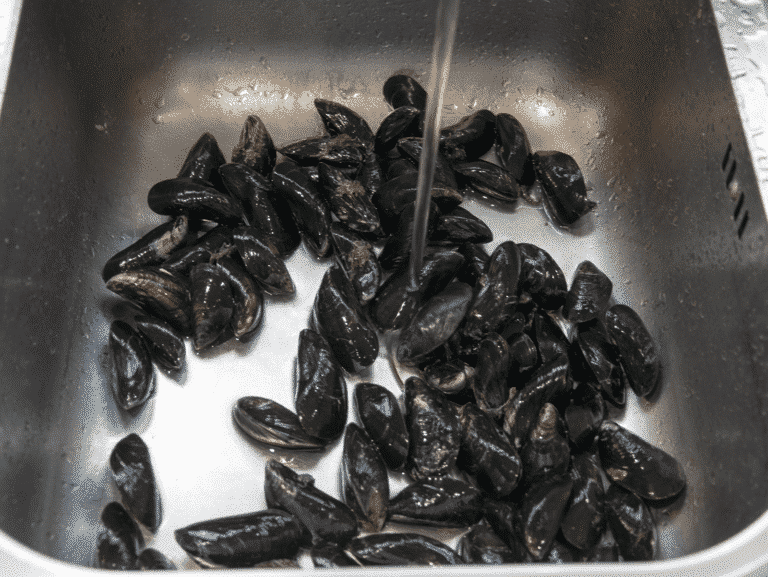 How to clean and debeard mussels in 3 easy steps